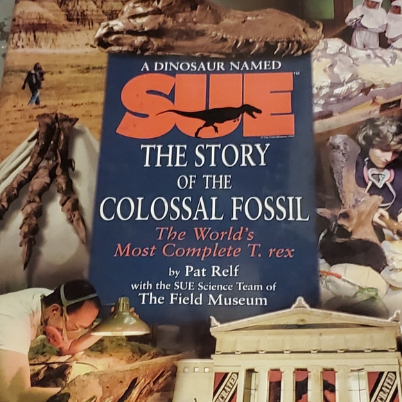 Other | Dinosaur Named Sue The Worlds Most Complete T Rex | Poshmark